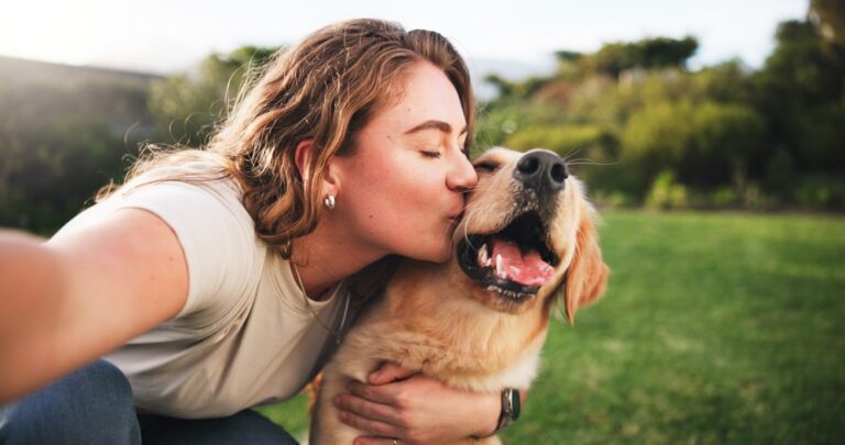 Celebrities Who Included Their Pets in Their Will